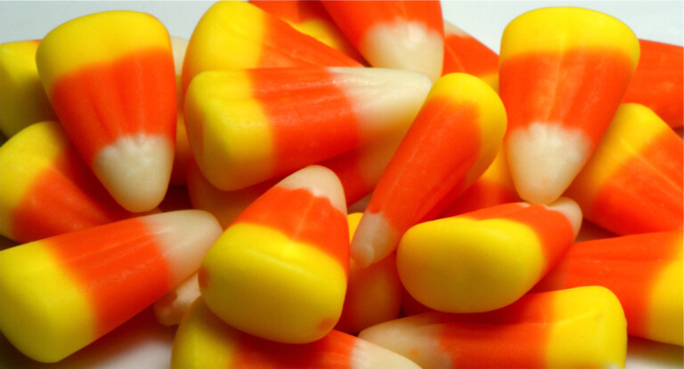 Candy Corn Plant (Moullava spicata) - How to Grow & Care Guide